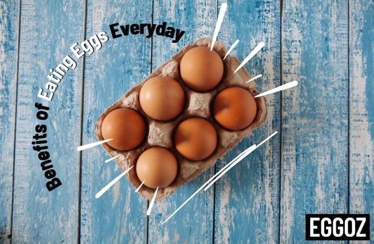 Benefits of eating eggs everyday – Eggoz